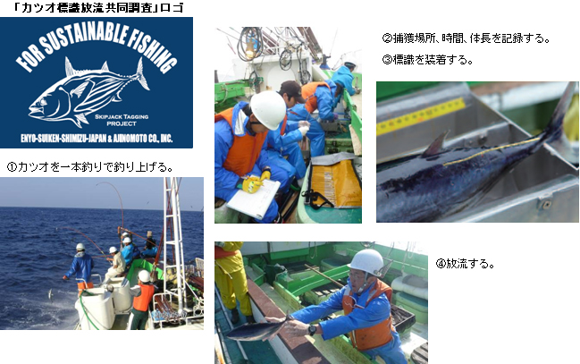 生物多様性条約第10回締約国会議（COP10）併催展示会 「生物多様性交流フェア・フォーラム」 交流トークセッション 「『いのちのために働く ...